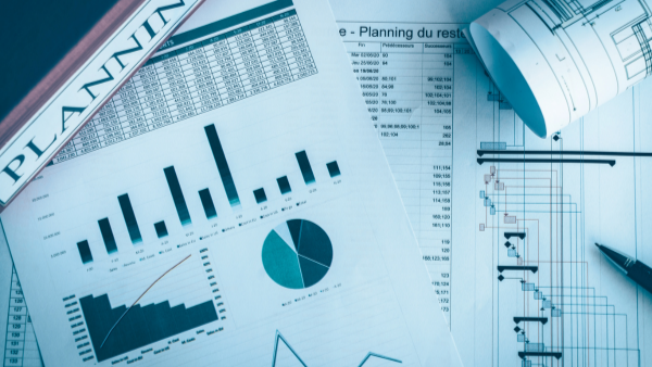 Organizational Environment and Its Role in Project Success